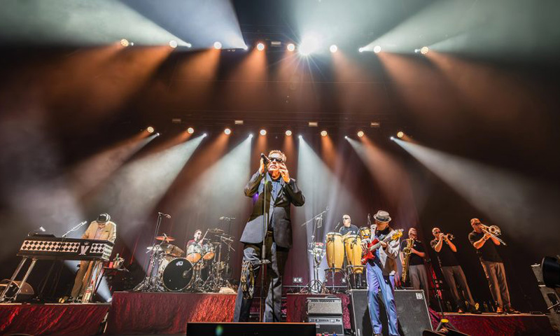 Madness Live in New York: A Proper Miracle on 34th Street – Stateside ...